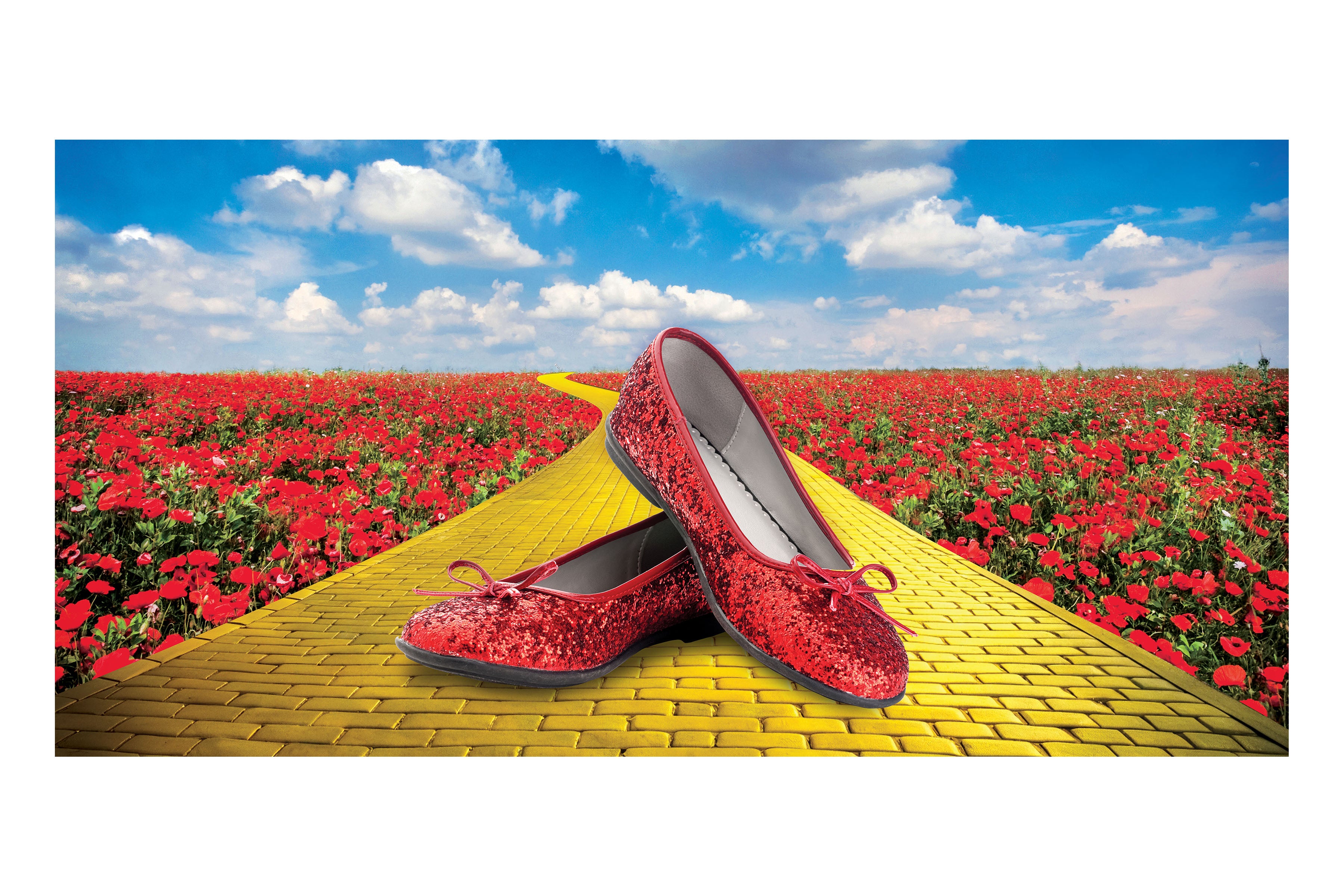 Wizard of Oz Main Stage Theatre Backdrop – Theatre Scenes