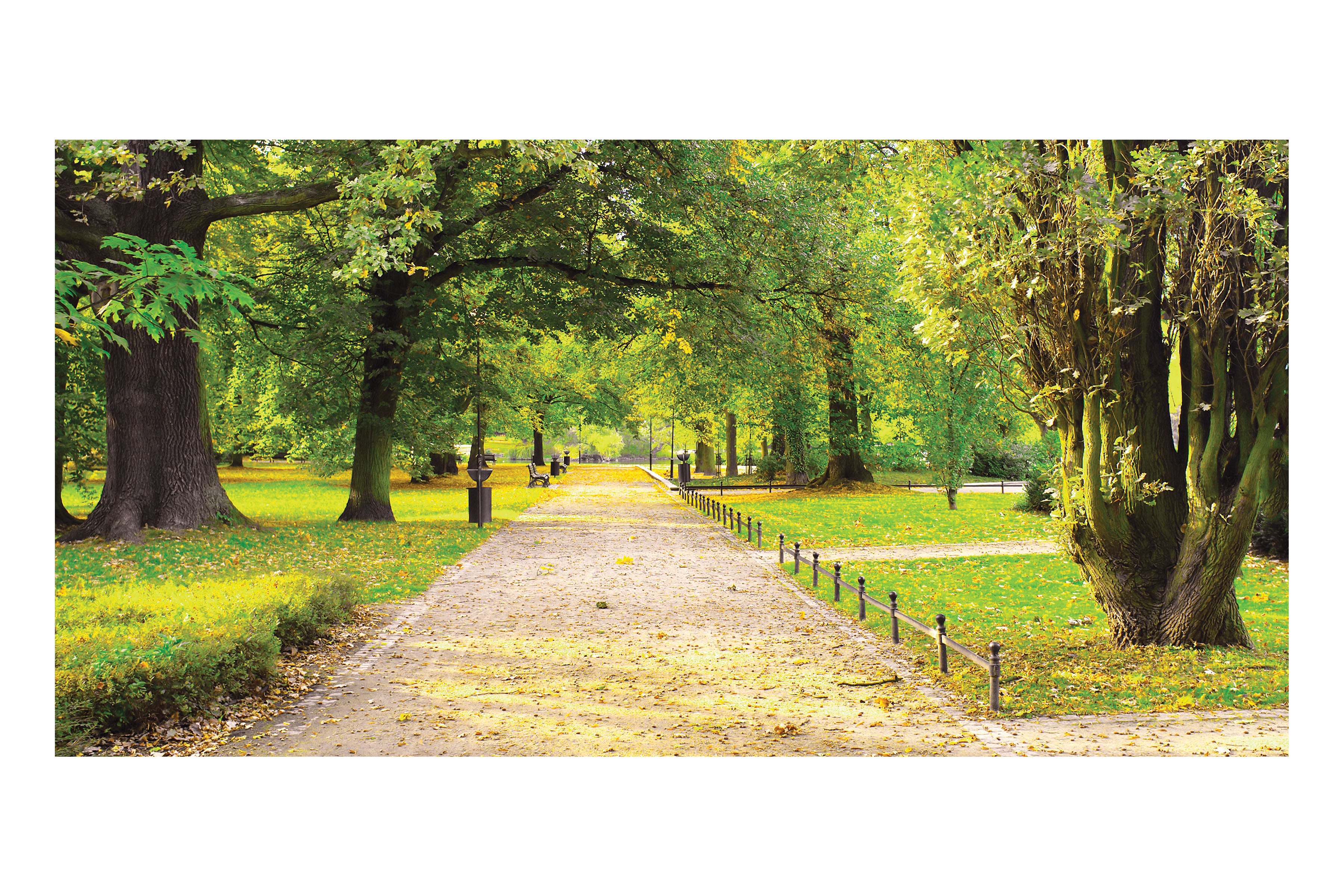 Park Pathway Theatre Backdrop – Theatre Scenes