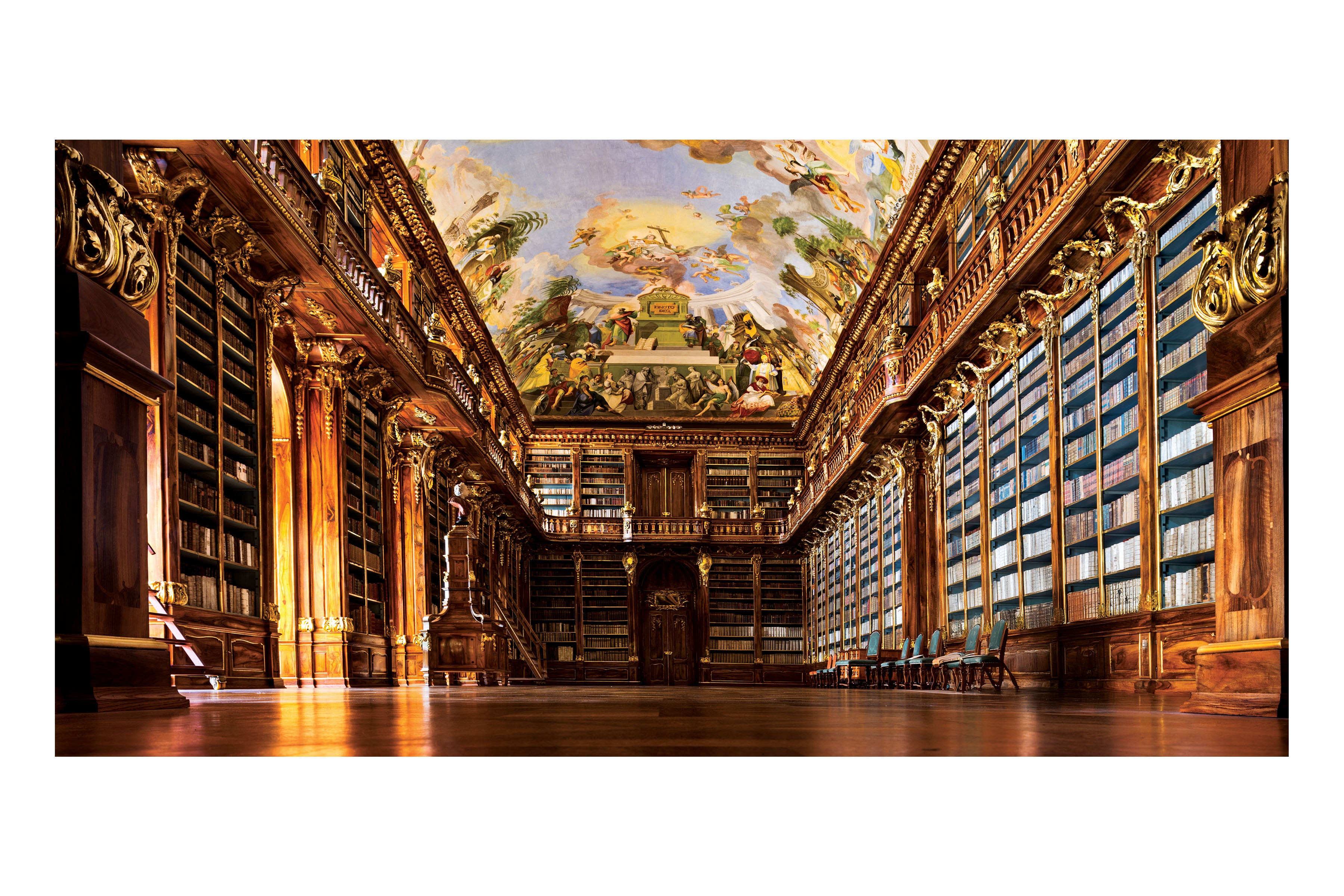 Luxurious Library Theatre Backdrop – Theatre Scenes