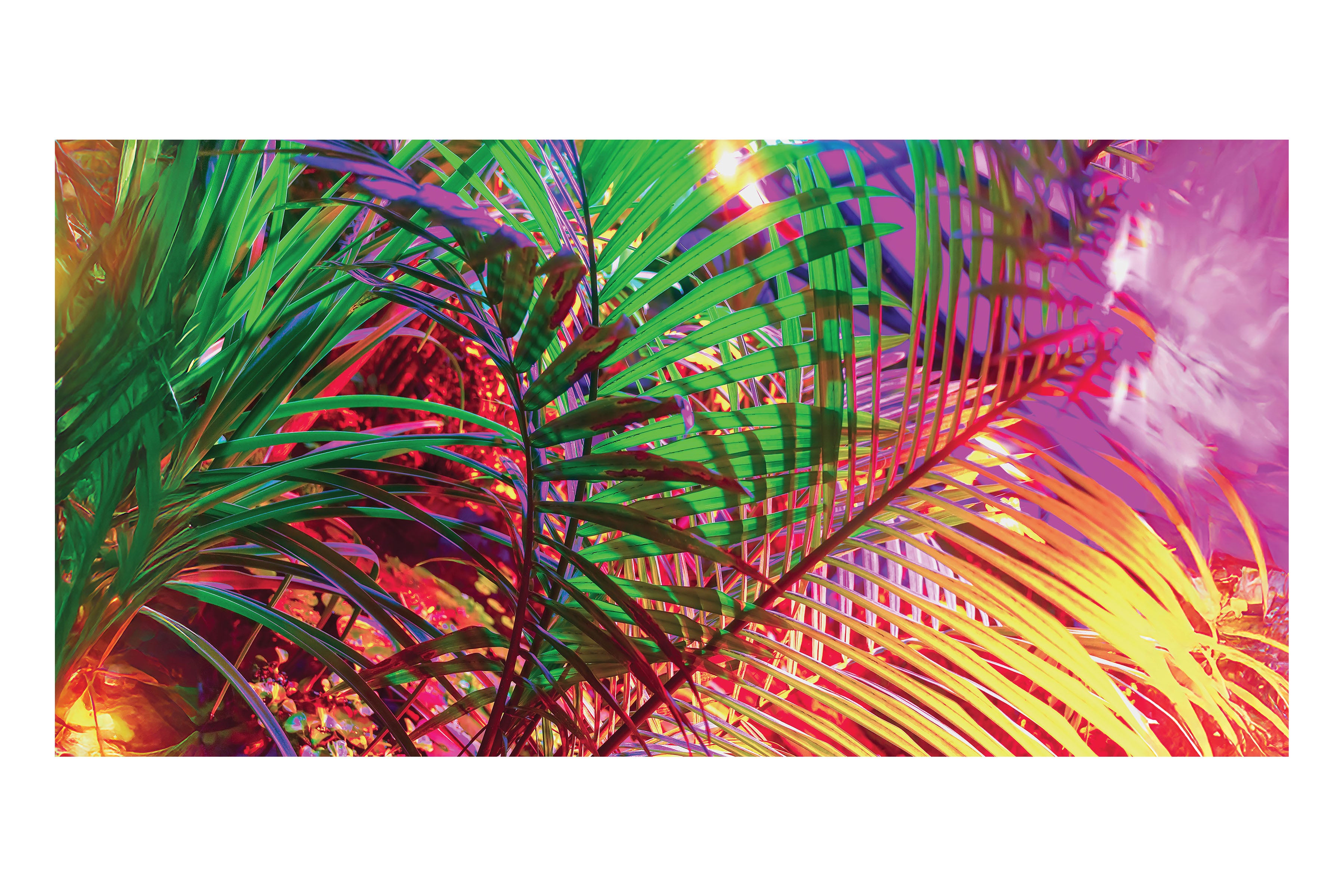Psychedelic Jungle Theatre Backdrop – Theatre Scenes