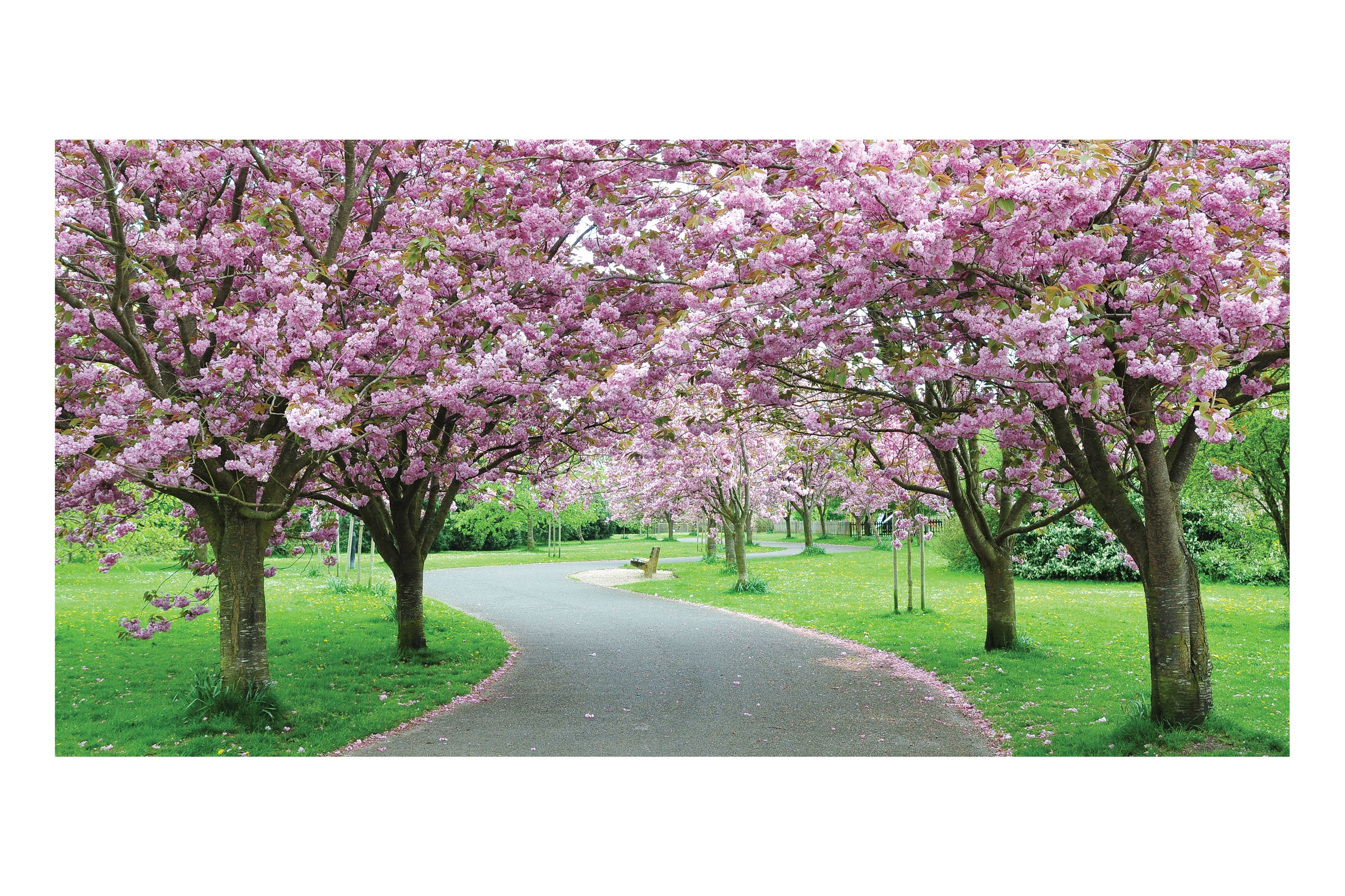 Spring Pathway Theatre Backdrop – Theatre Scenes