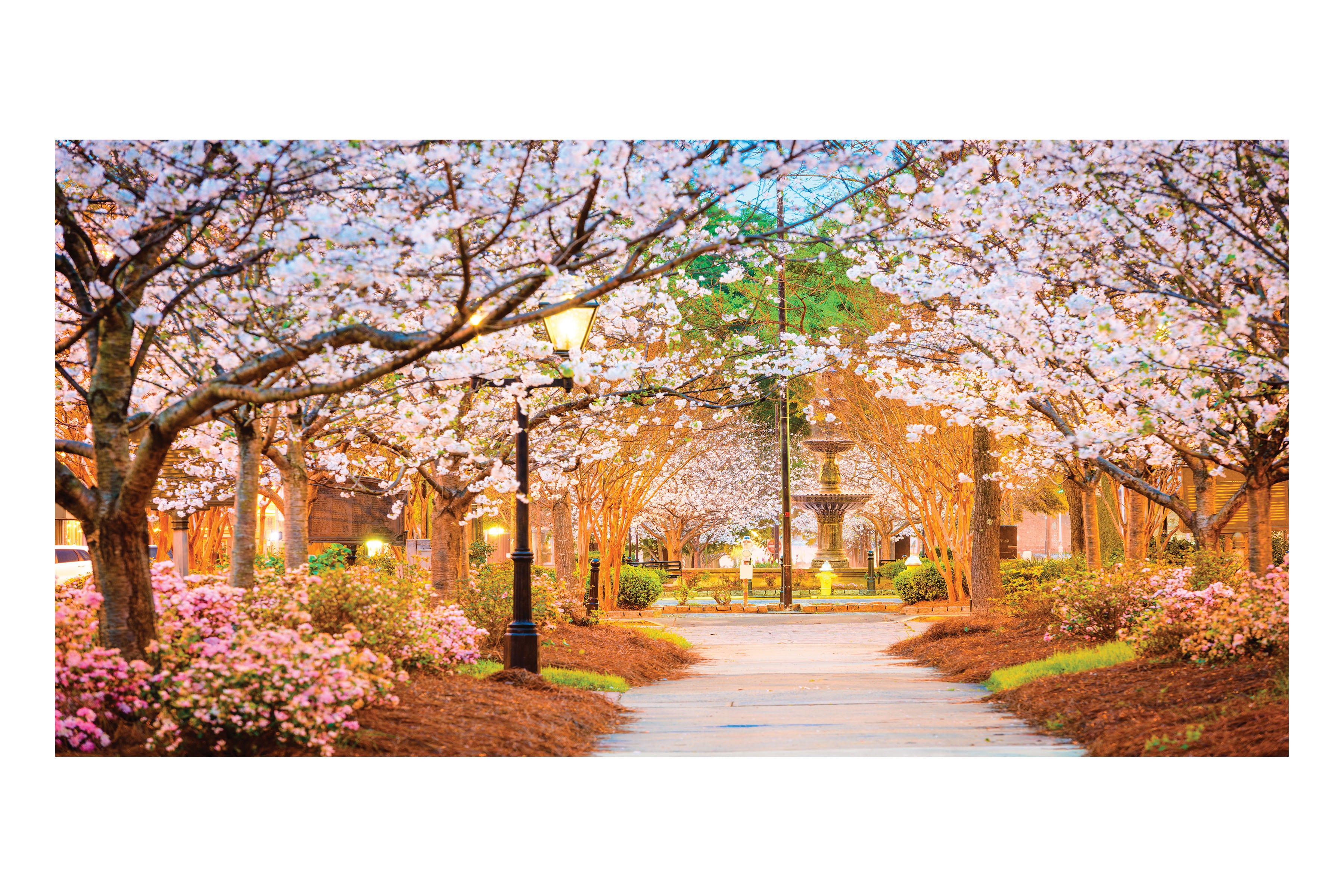 Romantic Town Square Theatre Backdrop – Theatre Scenes